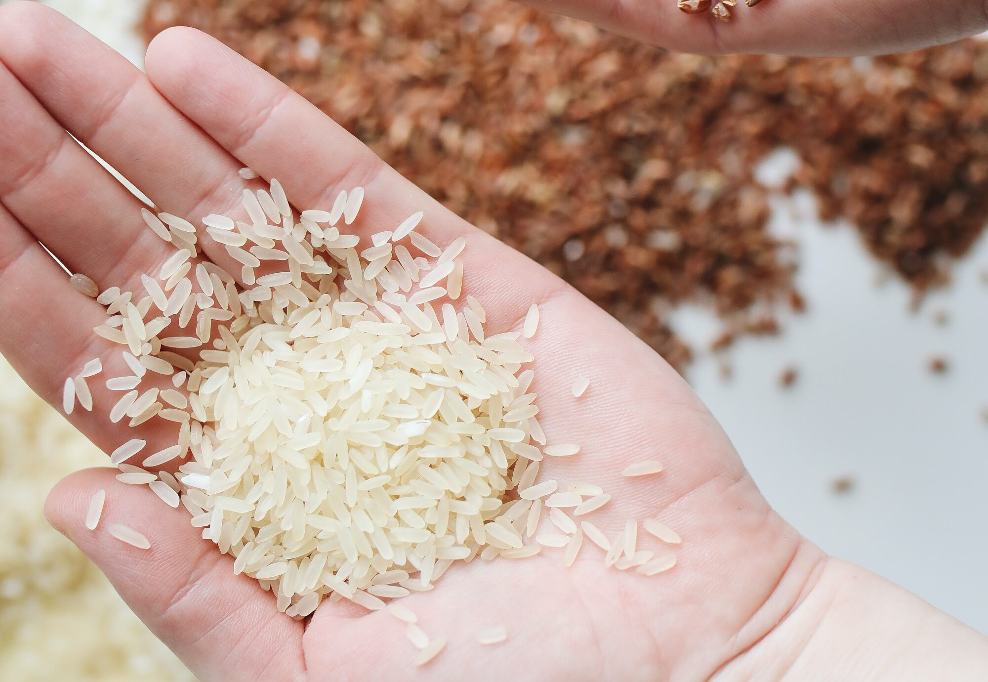 Hoe slecht is rijst eigenlijk nou echt? Jop Blom legt uit